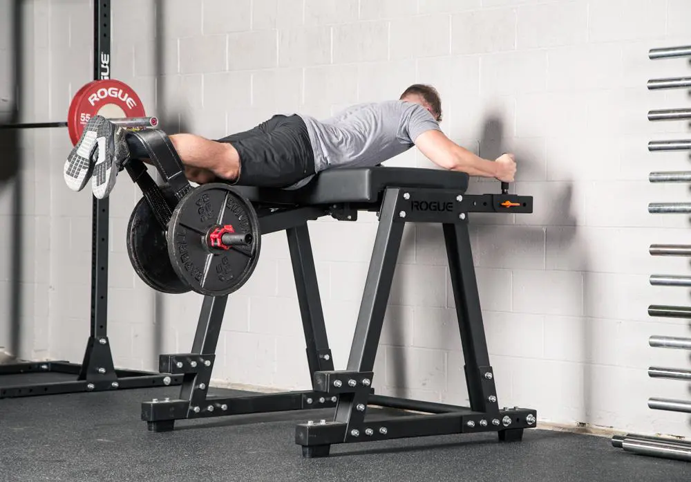 Vital Tips on the Importance of Reverse Hyper Exercise - Your Health ...